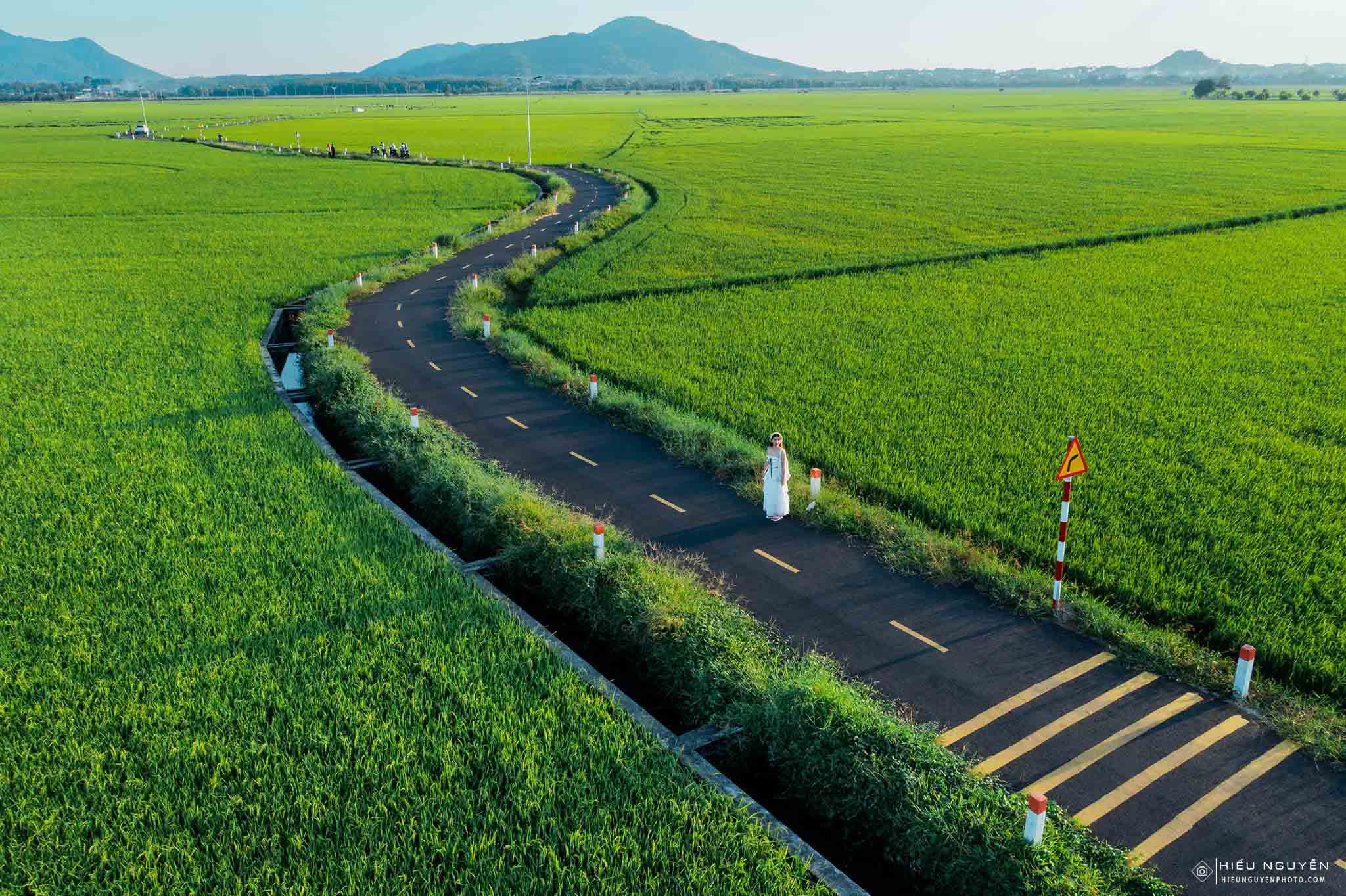 Đến Bà Rịa - Vũng Tàu, check-in cánh đồng An Nhứt mùa lúa xanh