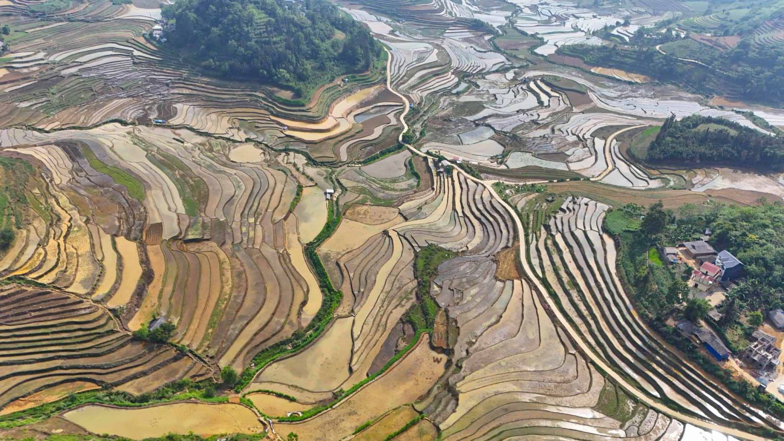 Ruộng bậc thang Sín Chéng mùa nước đổ