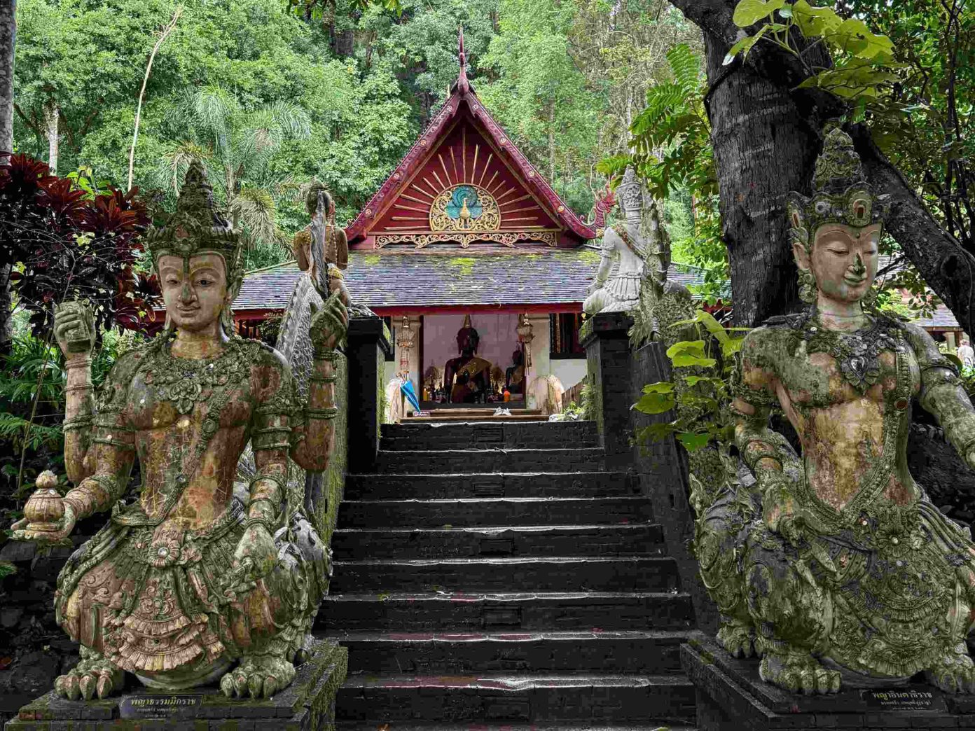 Thăm ngôi chùa cổ ẩn giữa rừng ở Chiang Mai
